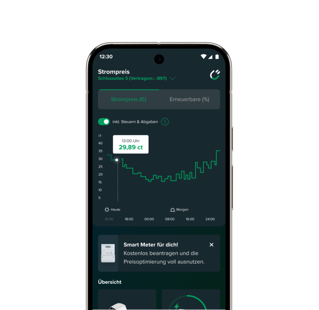 Rabot Energy App für dynamischen Strom & nachhaltige Energieverwaltung!
